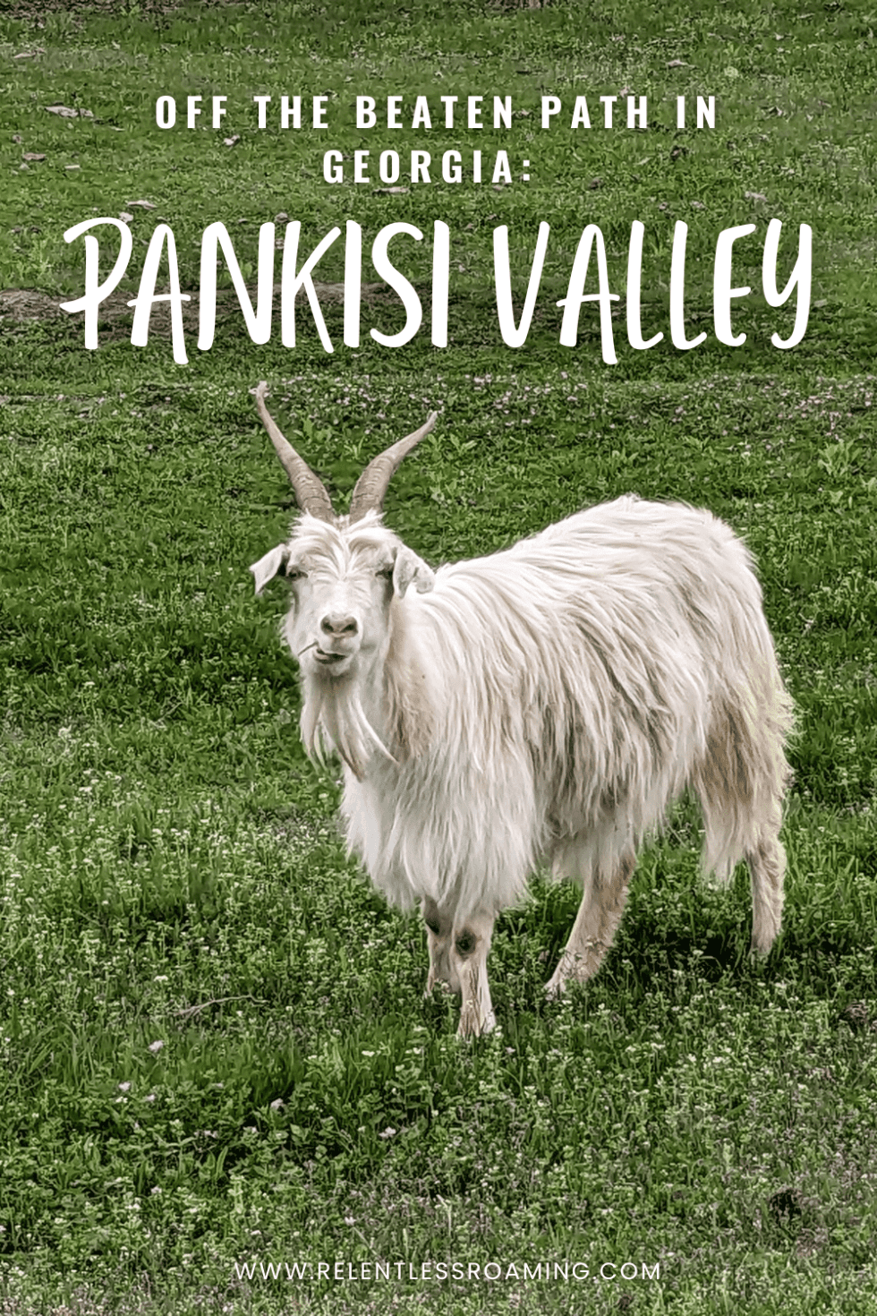 Visit Pankisi Valley: Off the Beaten Path in Georgia